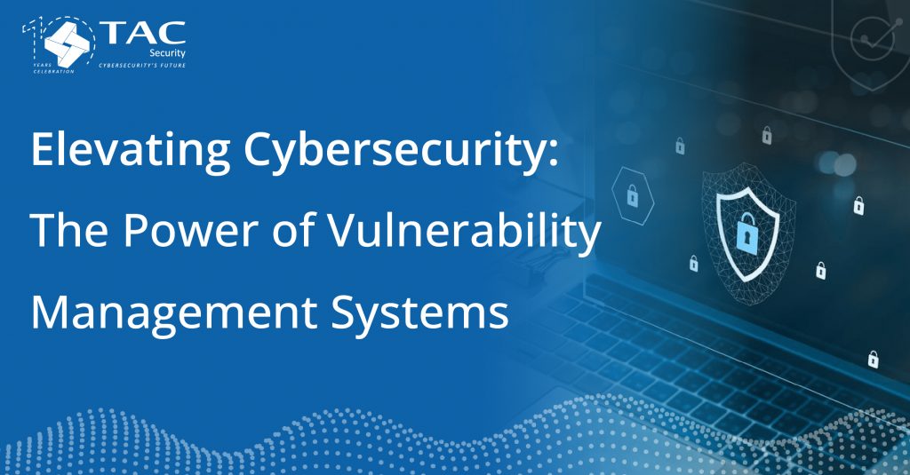Empowering Cybersecurity: Vulnerability Management Systems